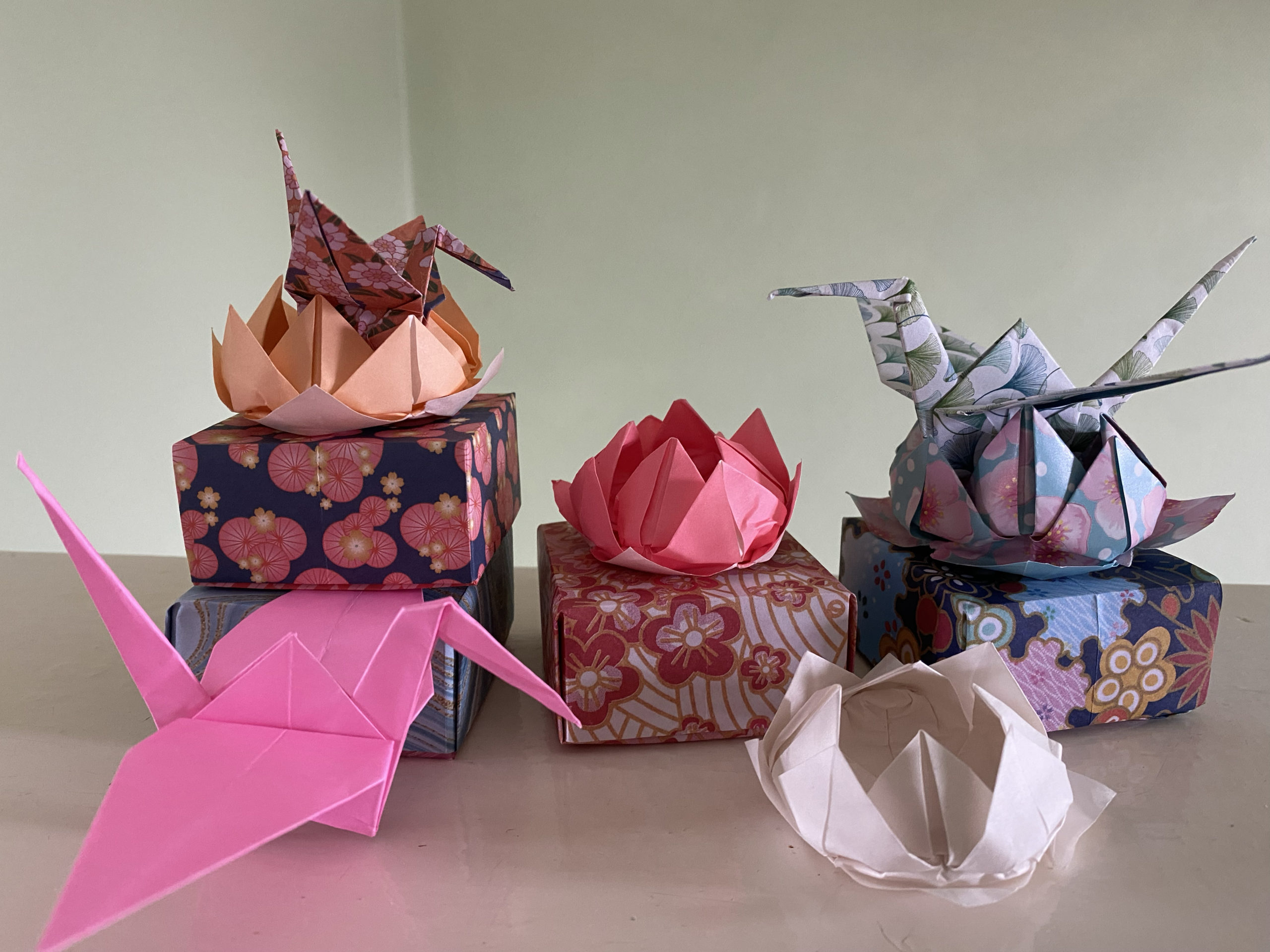 Learn to create origami roses - Wellbeing West Fife
